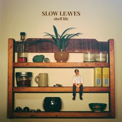 Sink Full Of Dishes - Slow Leaves Chords | GuitarTabsExplorer