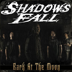 Shadows Fall guitar chords and tabs | GuitarTabsExplorer