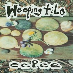 Weeping Tile guitar chords and tabs | GuitarTabsExplorer